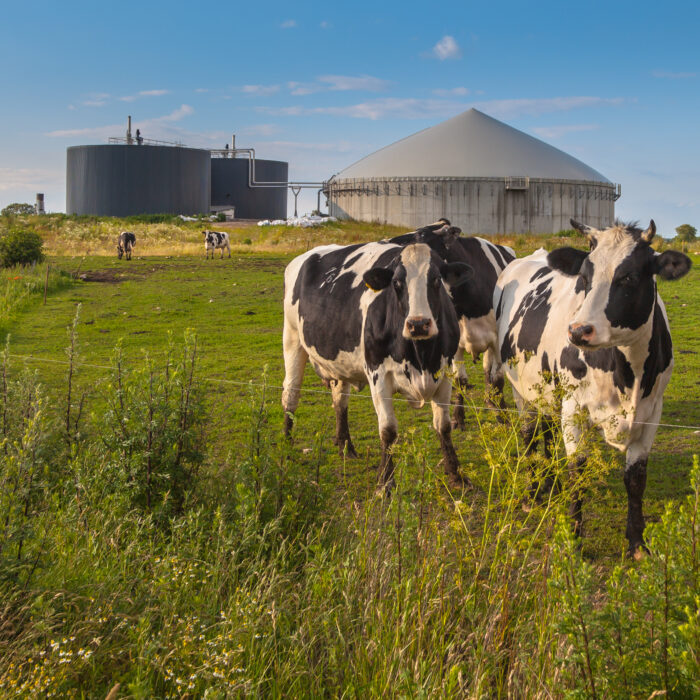 Pre-treatment and feed equipment for biogas plant - Biovoima