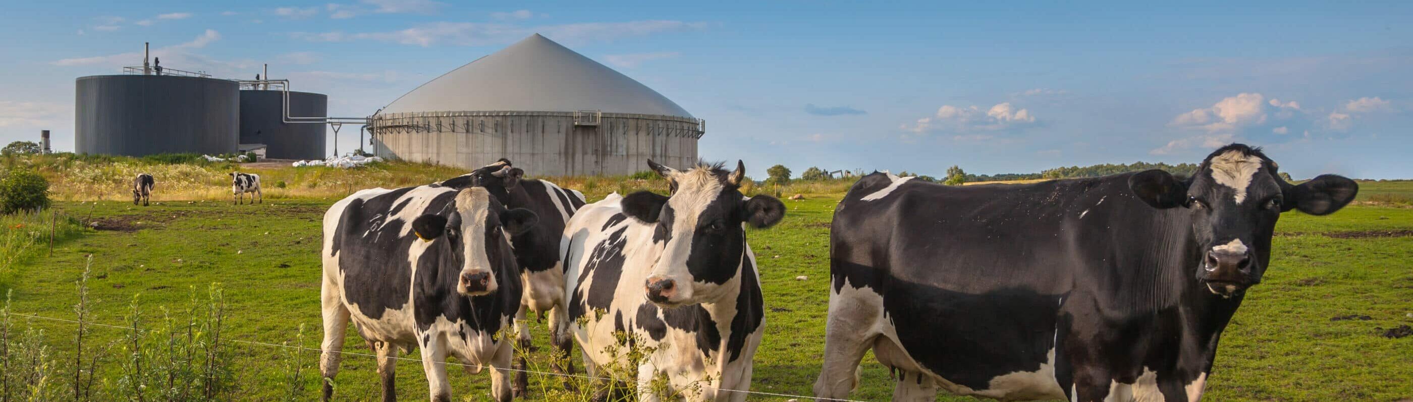 Digestate post-treatment – separation into solid and liquid fractions ...